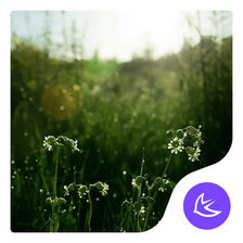 Forest Plants Simple-APUS Launcher stylish theme APK para Android ...