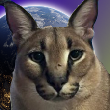 Floppa Run per Android - Download