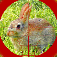 Sniper Rabbit Hunting 3D APK für Android - Download