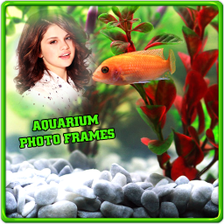 Aquarium Photo Frames for Android - Download