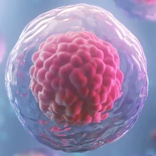 Evolution Clicker For Android Download