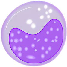 Android 용 Cell Counter - 다운로드