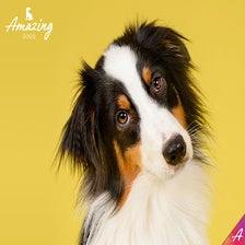 Amazing Dogs para Google Chrome - Extensión Descargar