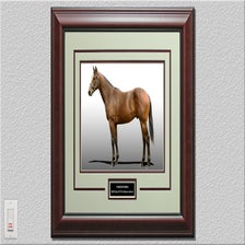 Day at the Races - İndir