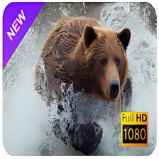 Bear New Tab & Wallpapers Collection para Google Chrome - Extensión ...