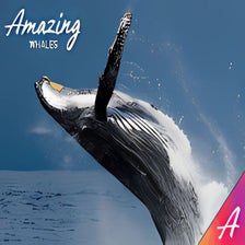 Amazing Whales for Google Chrome - Extension Download
