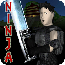 Ninja Rage - Open World RPG APK for Android - Download