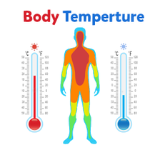 Thermometer Body Temp Tracker per Android - Download