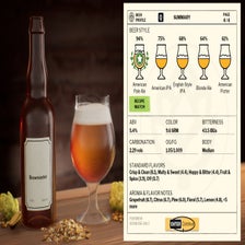 BREWMASTER: BEER BREWING SIMULATOR - Descargar