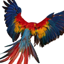 Parrot OS : Vulnerability Analysis in Parrot Linux APK for Android ...