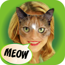 Look Like Cat APK for Android - Download