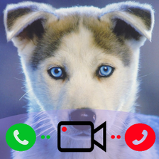 Fake Call From Dog per Android - Download