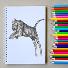 How to Draw Realistic Animals para Android - Descargar