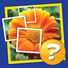 Mosaic: Tap the pic guess the word für iPhone - Download