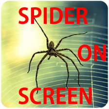 Spider On Screen Prank for Android - Download