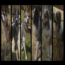 Dhu's Rufus Replacers for Red Dead Redemption II - Mod Download