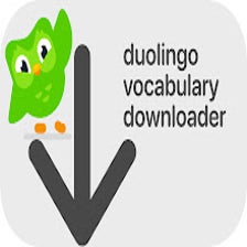 Duolingo Vocabulary Downloader Google Chrome için - Eklenti İndir