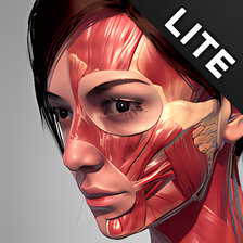 Action Anatomy - 3D anatomy pose app for artists para Android - Download