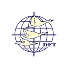DMI DFT APK for Android - Download