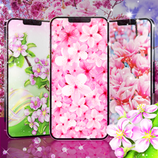 Sakura flowers live wallpaper APK for Android - Download