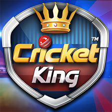 Cricket King para Android - Descargar