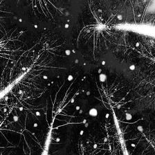 Android için Dark Snow Live Wallpaper - İndir