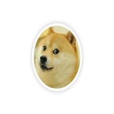 Doge for Chrome para Google Chrome - Extensión Descargar
