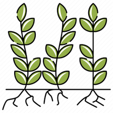 Crop Loss GT 2023 per Android - Download