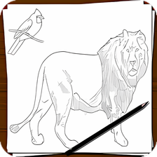 Draw Animals Step by Step per Android - Download