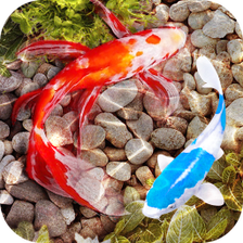 Fish Tank Animated Keyboard para Android - Descargar