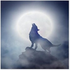 Wolf Sound Howling APK for Android - Download