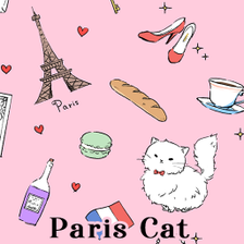 Paris Cat Theme HOME para Android - Descargar