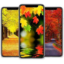 Autumn Wallpaper APK para Android - Descargar