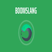 Boomslang for Google Chrome - Extension Download
