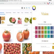 Vision Google Chrome 용 - 확장 프로그램 다운로드