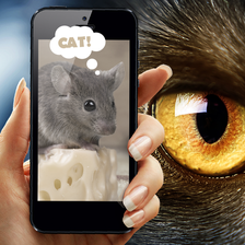 Vision pets simulator APK para Android - Descargar