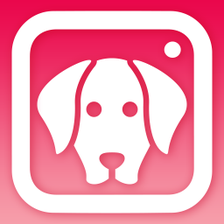 DogCam - Dog Selfie Filters and Camera APK สำหรับ Android - ดาวน์โหลด