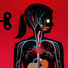 The Human Body by Tinybop para Android - Descargar