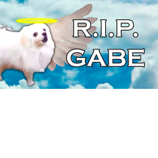 RIP Gabe The Dog pour ROBLOX - Jeu Télécharger