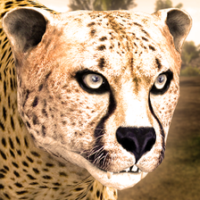 Ultimate Cheetah Simulator para Android - Descargar