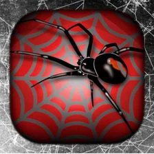 Spider Live Wallpaper Spider for Android - Download
