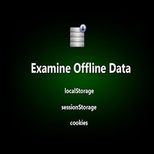 Examine Offline Data (Cookies, HTML5 Storage) Google Chrome 용 - 확장 프로그램 다운로드