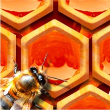 BeeHive para iPhone - Descargar