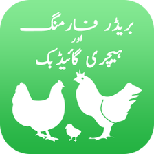 Chicken Farming Urdu Guide Boo per Android - Download