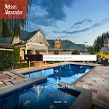 Nelson Alexander for Google Chrome - Extension Download