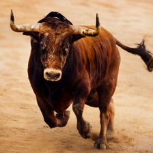 Bull Fighting Games-Bull Games for Android - Download