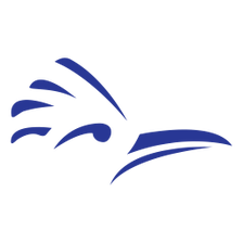 Roadrunner Shuttle per Android - Download