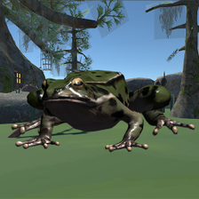 Frog Simulator pour Android - Télécharger