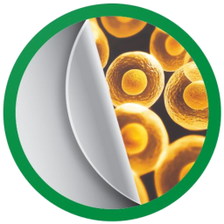 Metropolis TruHealth App – Your inner health buddy APK for Android ...