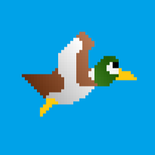 Duck Shoot! APK for Android - Download